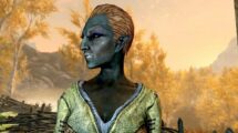 Best Skyrim Multiple Marriage & Polygamy Mod - Download (2024)