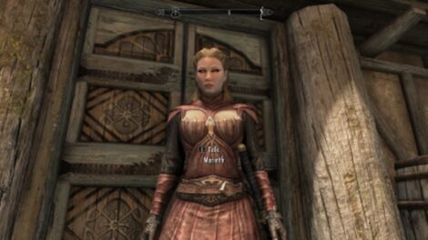 Best Skyrim Multiple Marriage & Polygamy Mod - Download (2023)