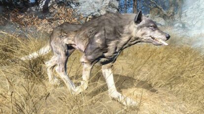 16 Best Fallout 4 Dogmeat Armor Mods (Download) 2024