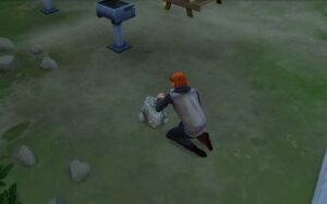 Sims 4 How To Collect Elements (Complete Guide) 2024